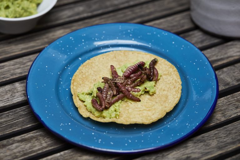 "TACO DE OJO" ES LA NUEVA PRODUCCIÓN DE FOOD NETWORK - Endorfina Cultural